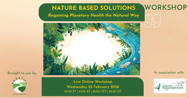 Nature Based Solutions | Shaktify